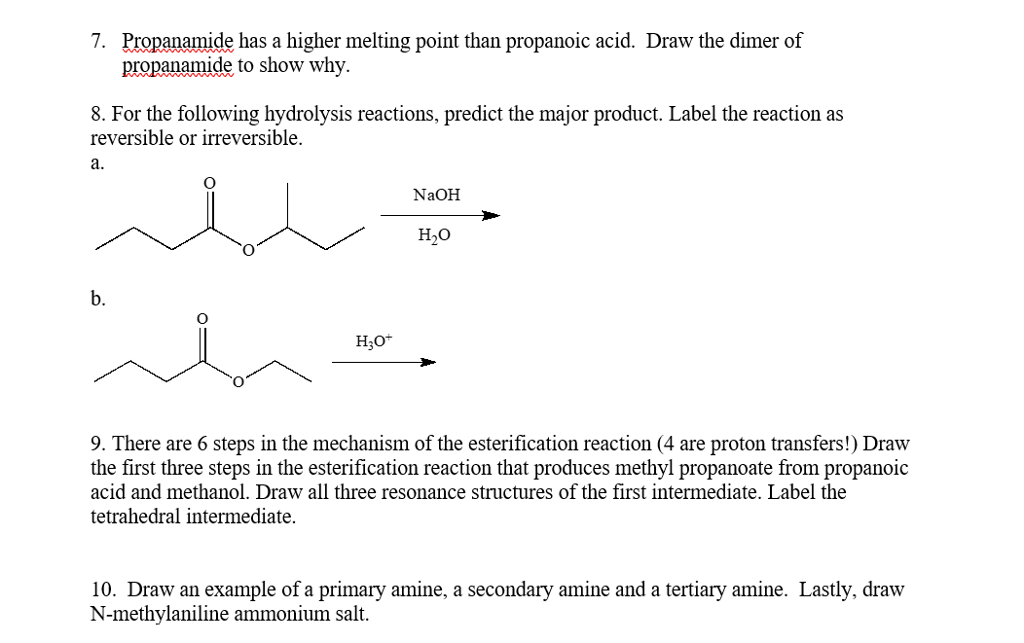 Solved 6. Predict the major product from the amidation | Chegg.com