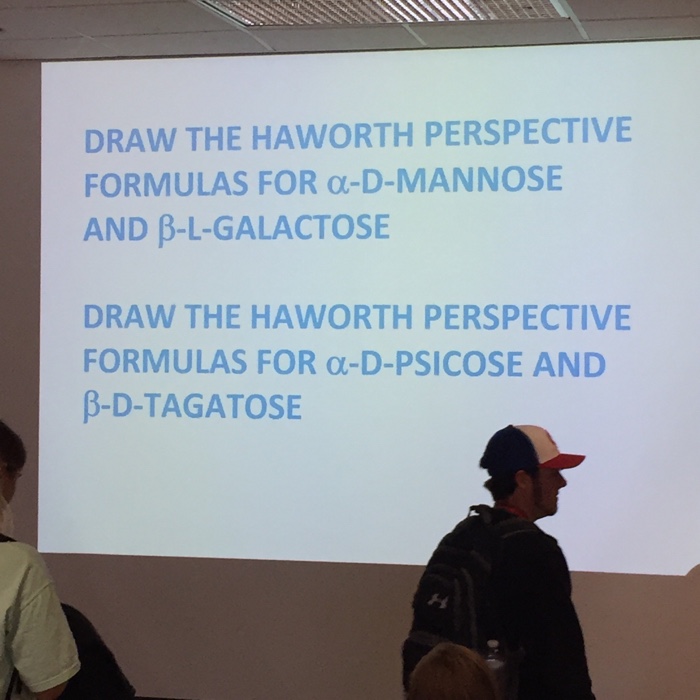 Solved Draw the haworth perspective formulas for | Chegg.com