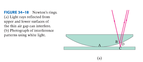 Solved FIGURE 34-18 Newton's rings. (a) Light rays reflected | Chegg.com