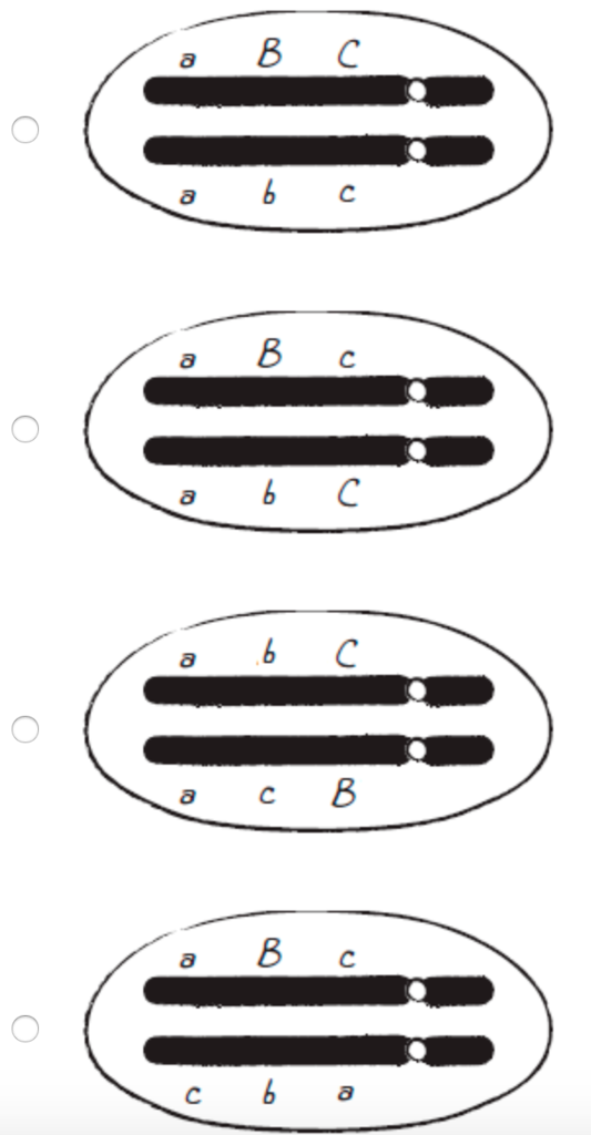 Part A Choose the diagram illustrating the alleles | Chegg.com