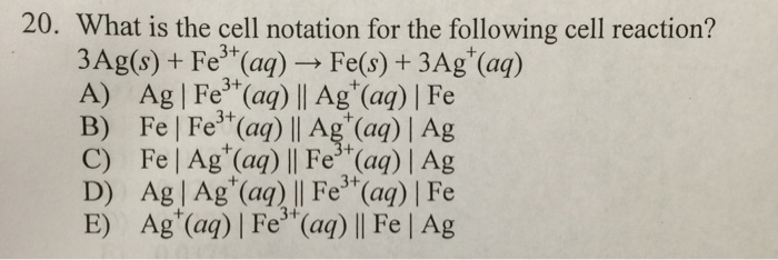 Solved What is the cell notation for the following cell | Chegg.com