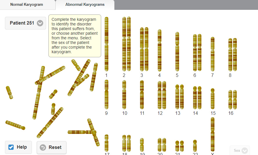 Solved Normal Karyogram Abnormal Karyograms Drag the | Chegg.com