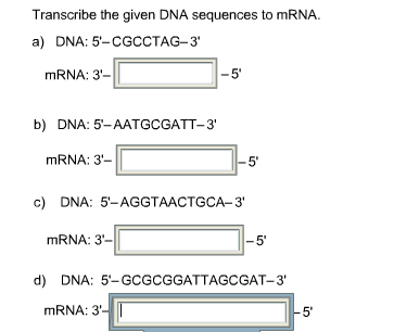 Solved Transcribe the given DNA sequences to mRNA. DNA: | Chegg.com