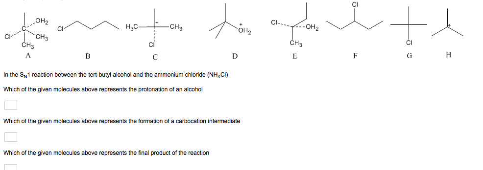 Solved In the SN1 reaction between the tert-butyl alcohol | Chegg.com