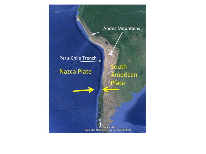 Solved In the image below, the yellow arrows show relative | Chegg.com