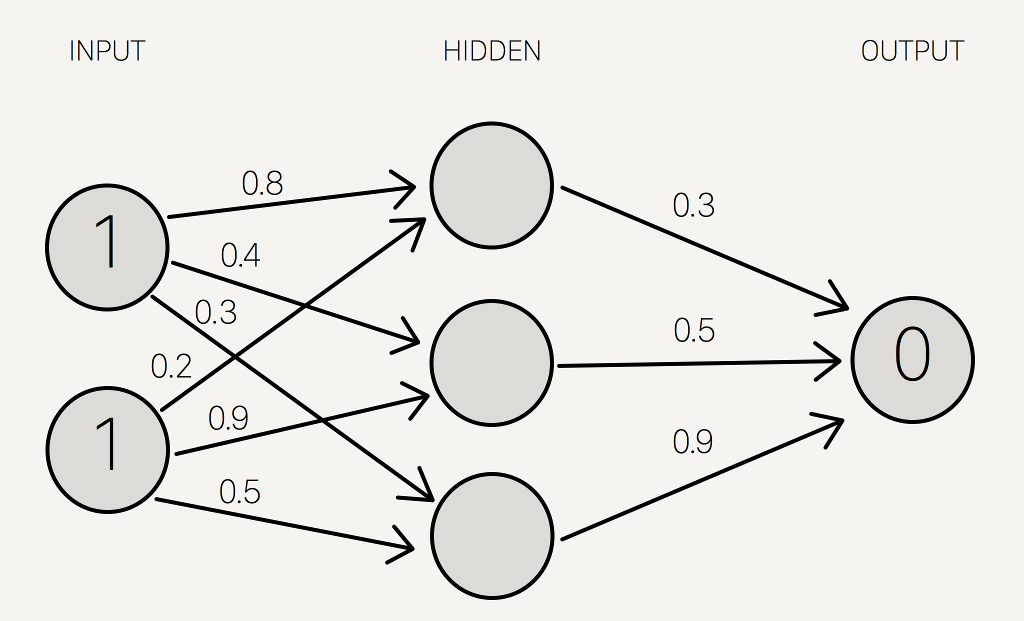 Solved Q3: For the network below to demonstrate forward | Chegg.com