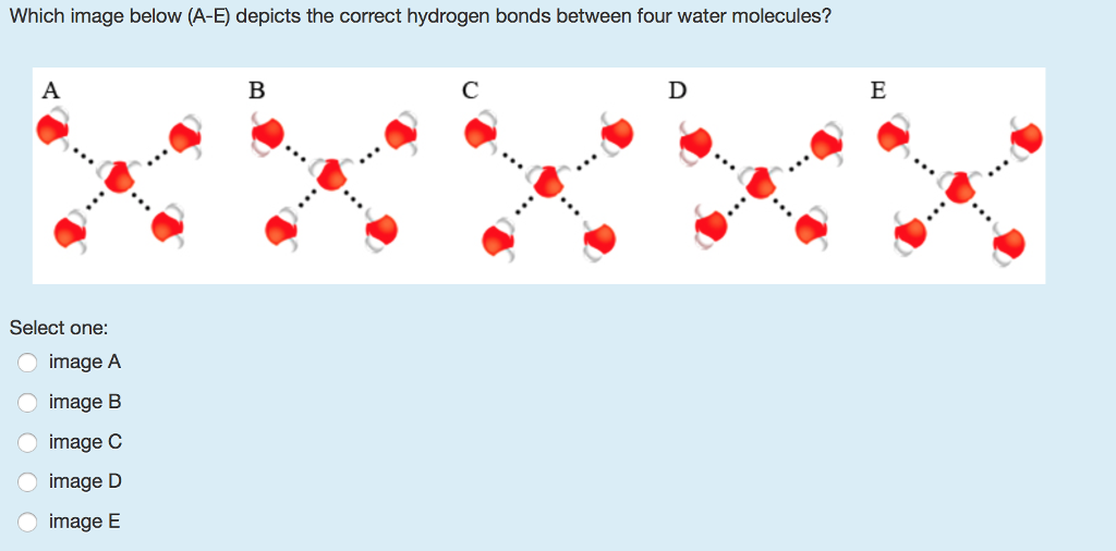 Solved Which image below (A-E) depicts the correct hydrogen | Chegg.com