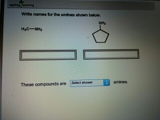 Solved Write names for the amines shown below. NHa H3C NH2 | Chegg.com