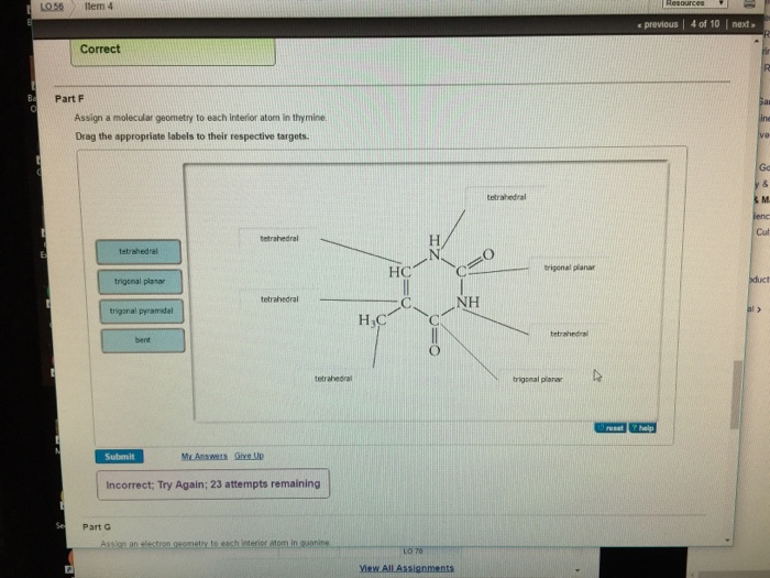 Solved Assign a molecular geometry to each interior atom in | Chegg.com Solved Assign a molecular geometry to each interior atom in | Chegg.com