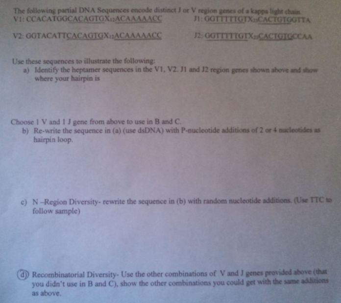 Solved The following partial DNA Sequences encode distinct 3 | Chegg.com