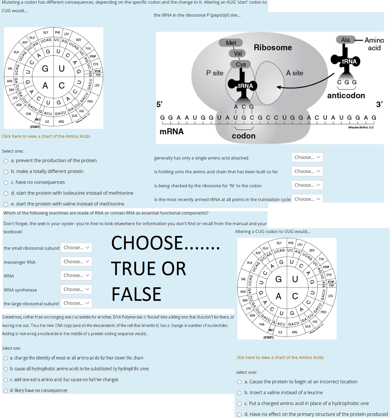 Solved Mutating a codon has different consequences, | Chegg.com