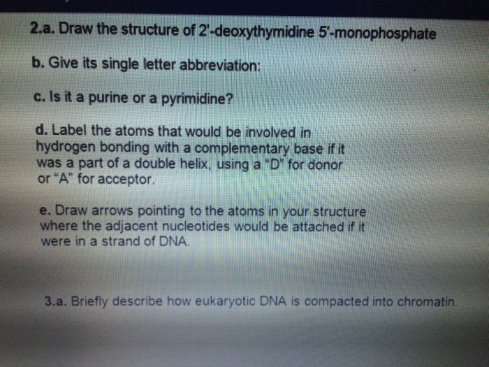 Solved Draw the structure of 2'-deoxythymidine | Chegg.com