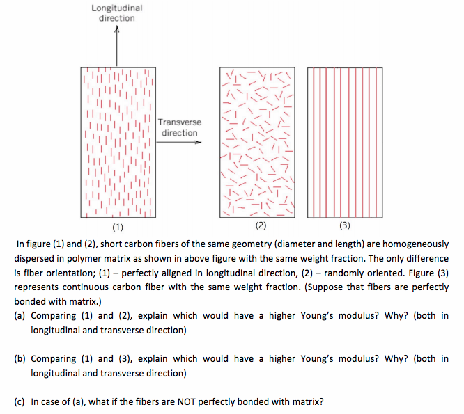 Longitudinal Direction
