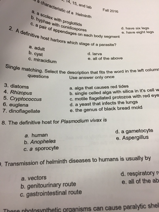 Solved A definitive host harbors which stage of a parasite? | Chegg.com
