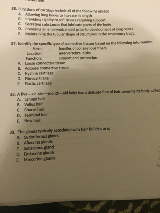 Solved Functions of cartilage include all of the following | Chegg.com