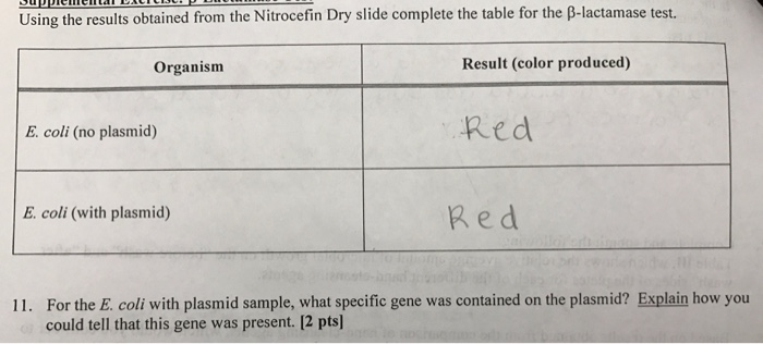 Solved MICROBIOLOGYFor E. Coli with plasmid sample, what | Chegg.com