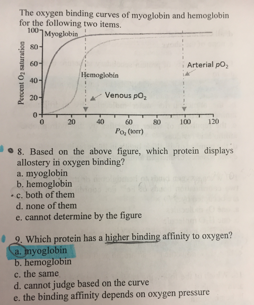 Solved The oxygen binding curves of myoglobin and hemoglobin | Chegg.com