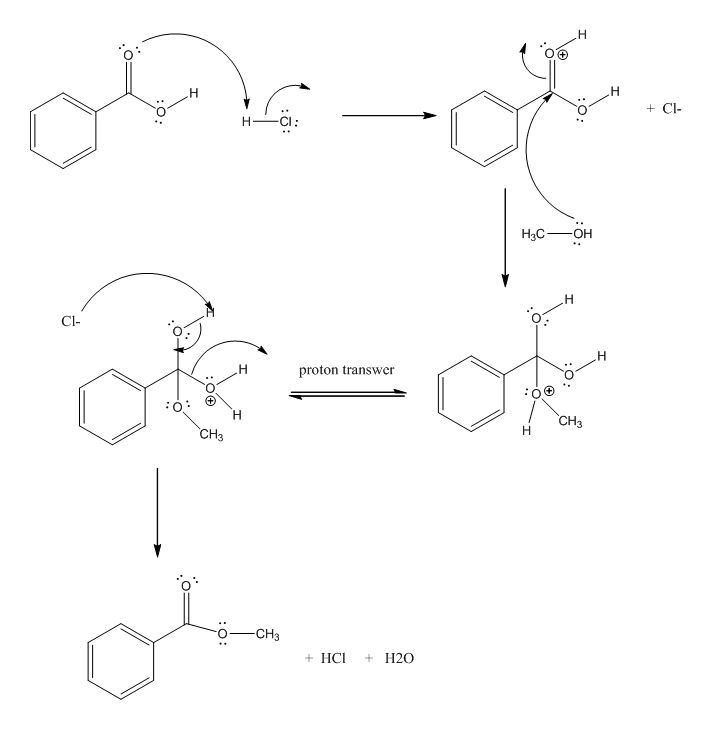 The Fischer Esterification Mechanism Is Examined