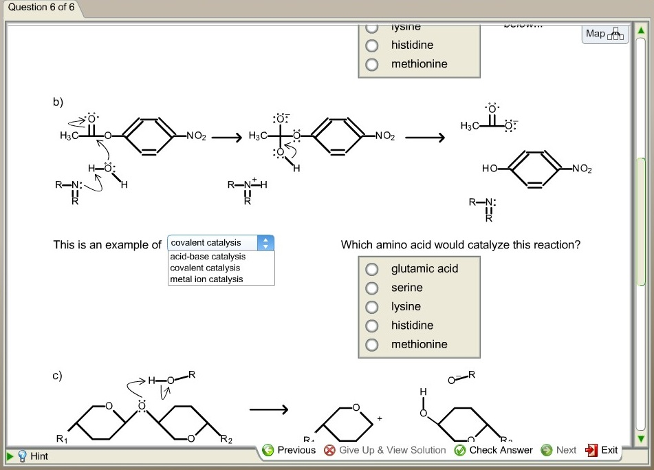 Solved Please help me with this: Identify the kind of | Chegg.com