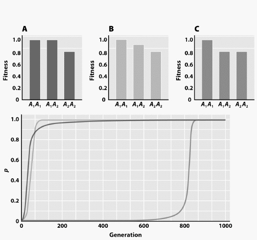 Solved Using the figure below, identify the bar graph in | Chegg.com
