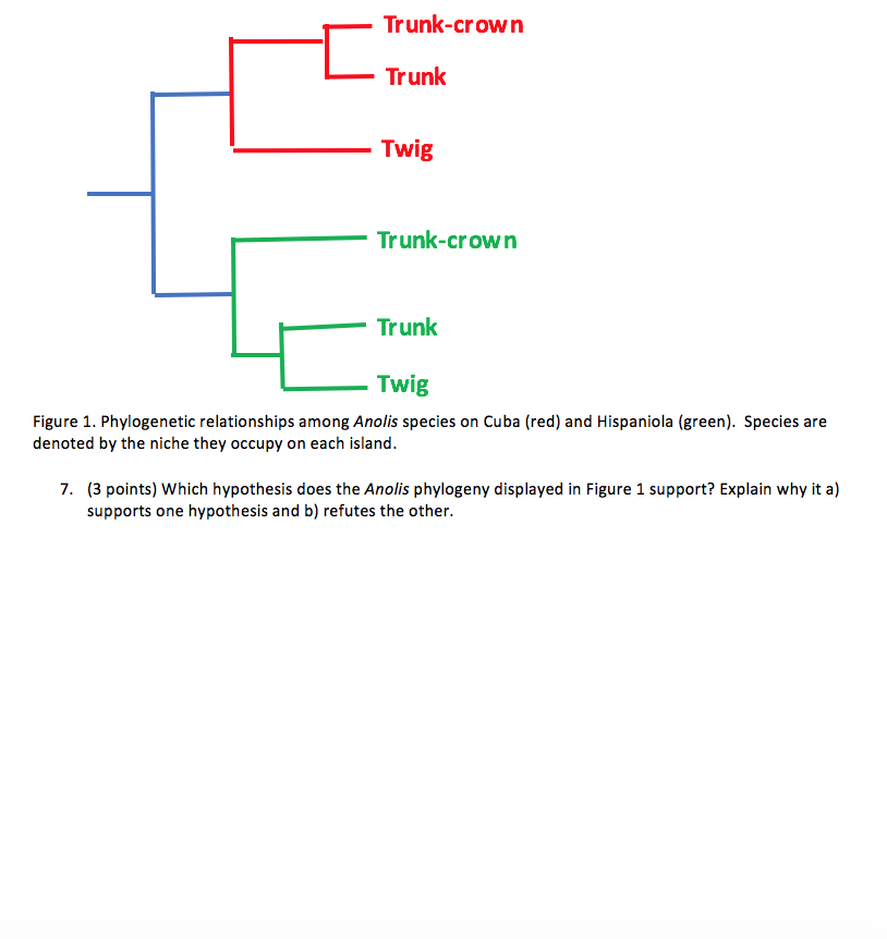 Solved Trunk-crown Trunk Twig Trunk-crown Trunk Twig Figure | Chegg.com