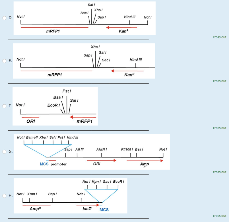 Solved What percent of the mRFP1 containing pUC19-207 | Chegg.com