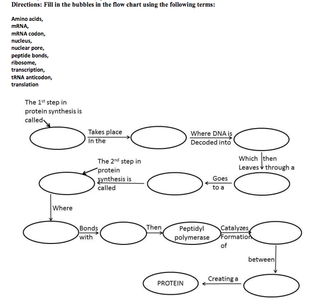 Solved Fill in the bubbles in the flow chart using the | Chegg.com