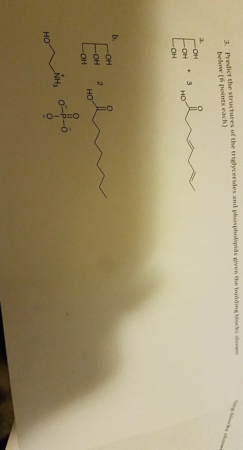 Solved Predict the structures of the triglycerides and | Chegg.com