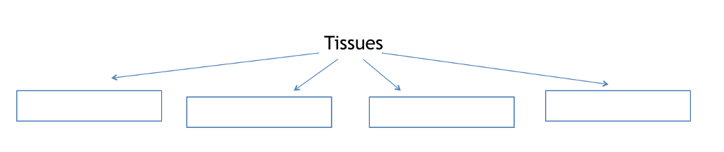 A Concept Map Or Venn Diagram Is An Example Of Ipads In K-8