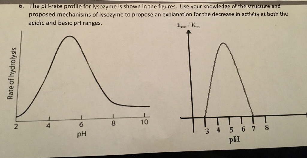 The pH-rate profile for lysozyme is shown in the | Chegg.com