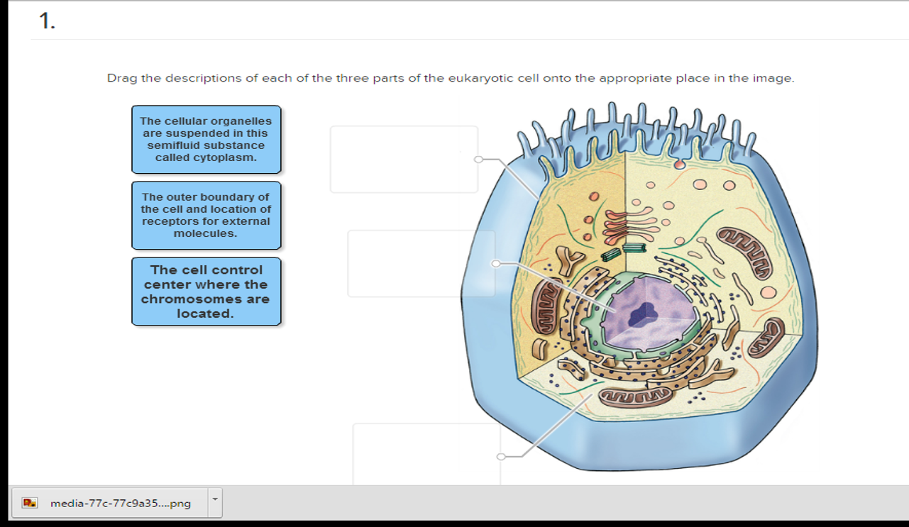 Solved Drag the descriptions of each of the three parts of | Chegg.com