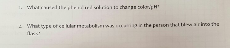 Solved create two separate graphs legibly using data | Chegg.com