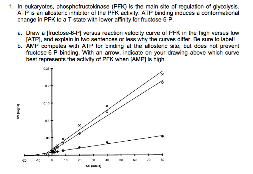 Solved In eukaryotes, phosphofructokinase (PFK) is the main | Chegg.com