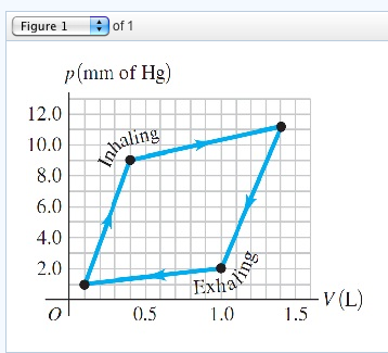 Solved Work Done by the Lungs. The graph (Figure 1) shows a | Chegg.com
