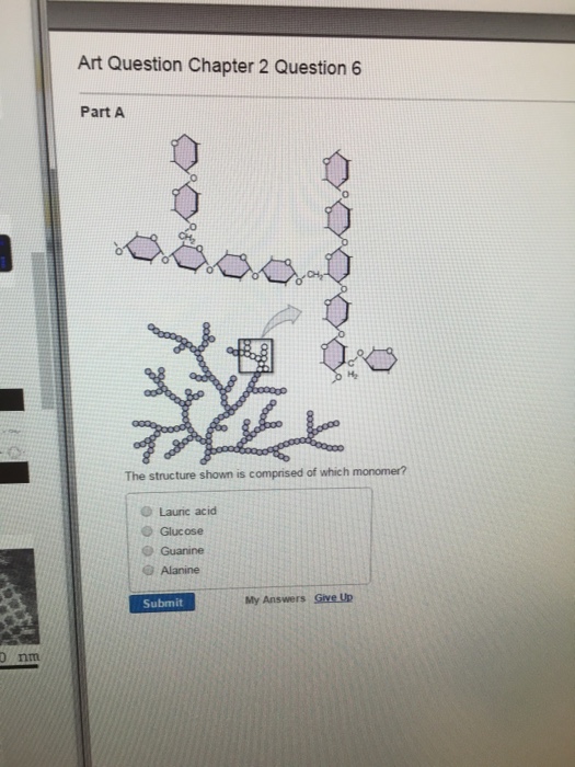 Solved The structure show is comprised of which monomer? | Chegg.com