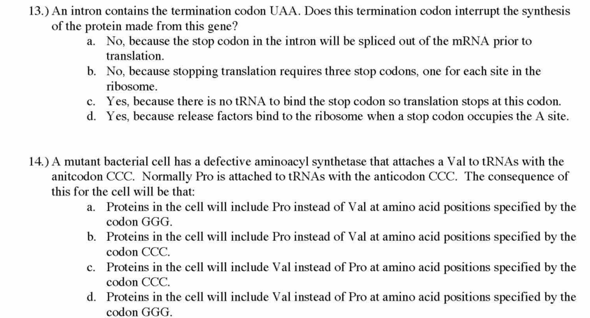 Solved An intron contains the termination codon UAA. Does | Chegg.com