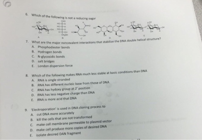 Solved What are the major non covalent interactions that | Chegg.com
