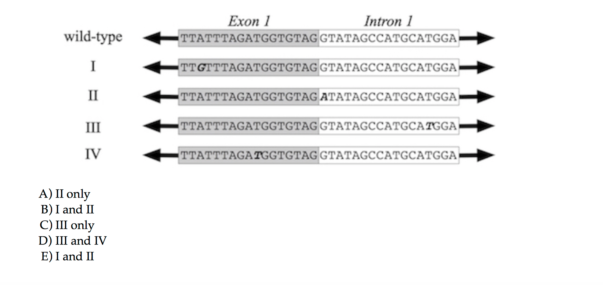 Solved Below is a picture showing the boundary between exon | Chegg.com