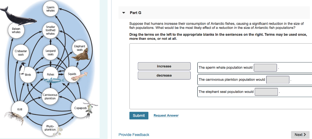 Solved Sperrm whales Part G Suppose that humans increase | Chegg.com