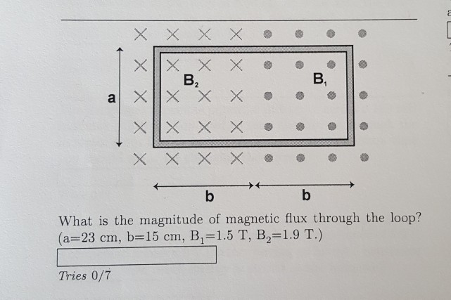 Solved 个 B, What is the magnitude of magnetic flux through | Chegg.com