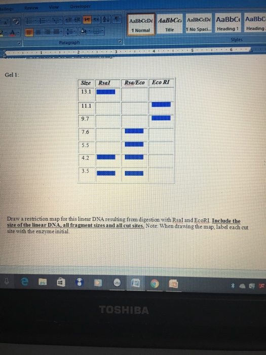 Solved Draw a restriction map for this linear DNA | Chegg.com