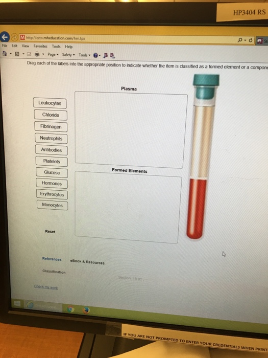 Solved Drag each ol the tables into the appropriate position | Chegg.com