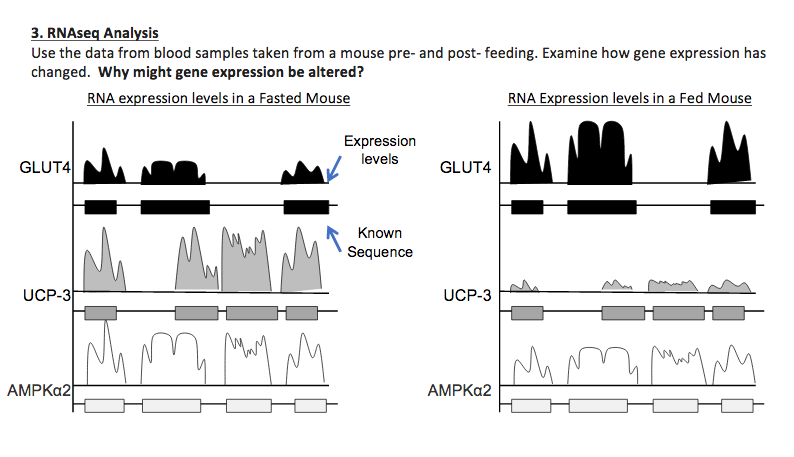 Solved 1. Finding the most likely open Reading Frame (ORF A. | Chegg.com