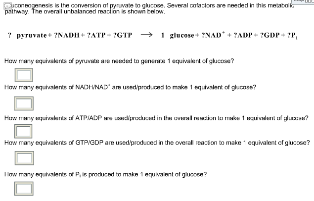 Solved is the conversion of pyruvate to glucose. Several | Chegg.com