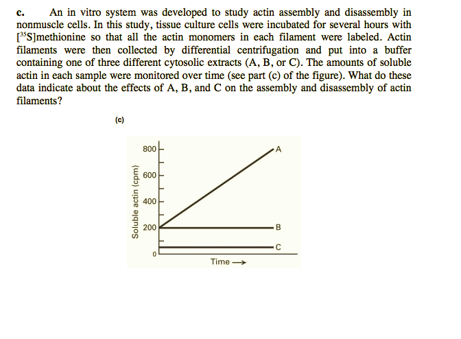 Solved Understanding Of Actin Filaments Has Been Greatly