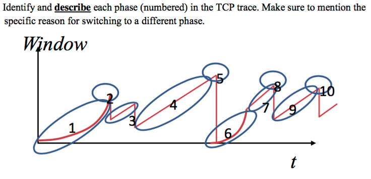 Solved Identify and describe each phase (numbered) in the | Chegg.com