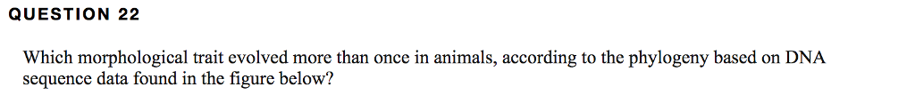 Solved QUESTION 22 Which morphological trait evolved more | Chegg.com