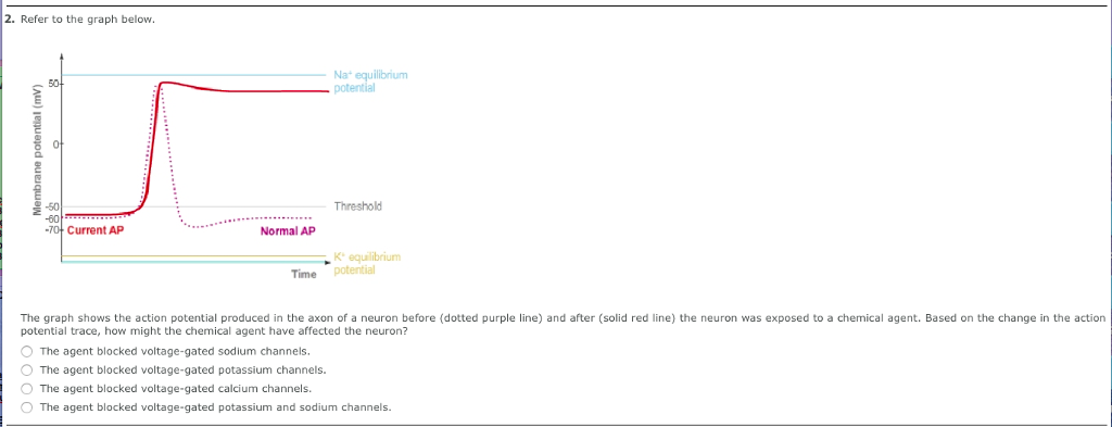Solved Refer to the graph below. The graph shows the action | Chegg.com