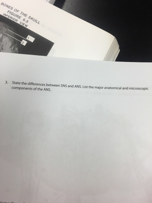 Solved State the differences between SNS and ANS. List the | Chegg.com