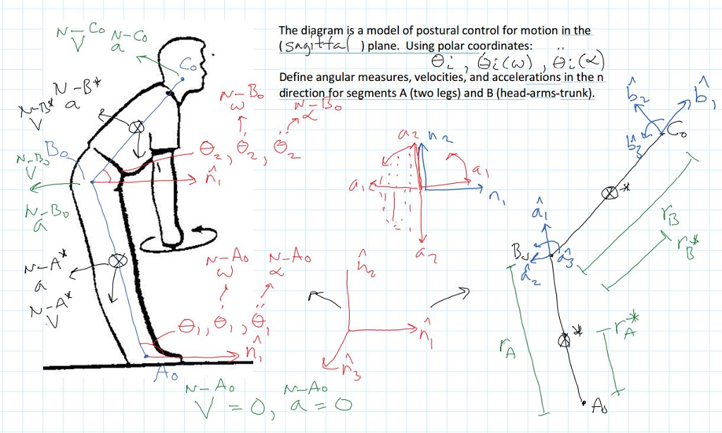 The diagram is a model of postural control for motion | Chegg.com